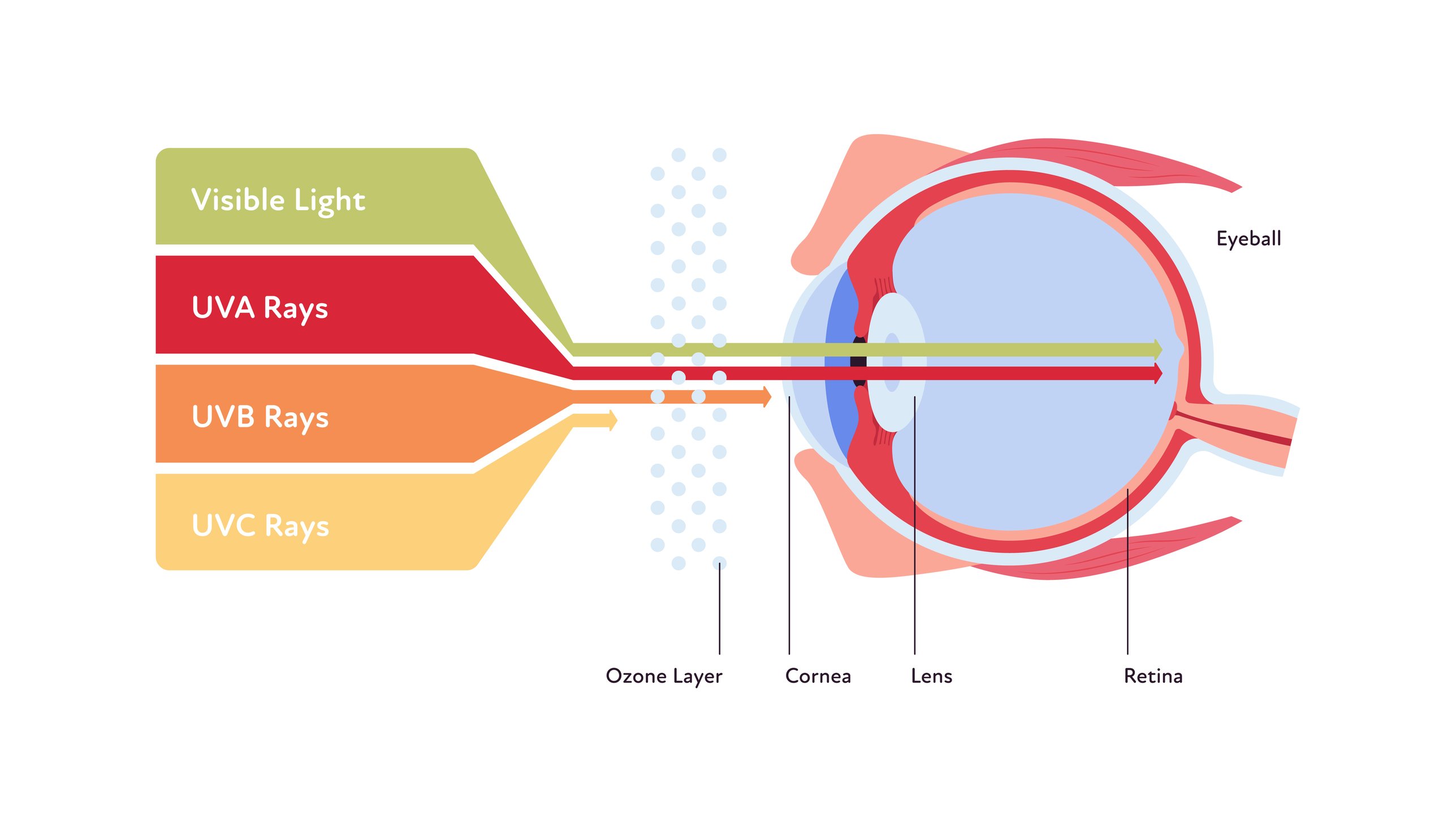 Shades of Protection: The Importance of Sunglasses