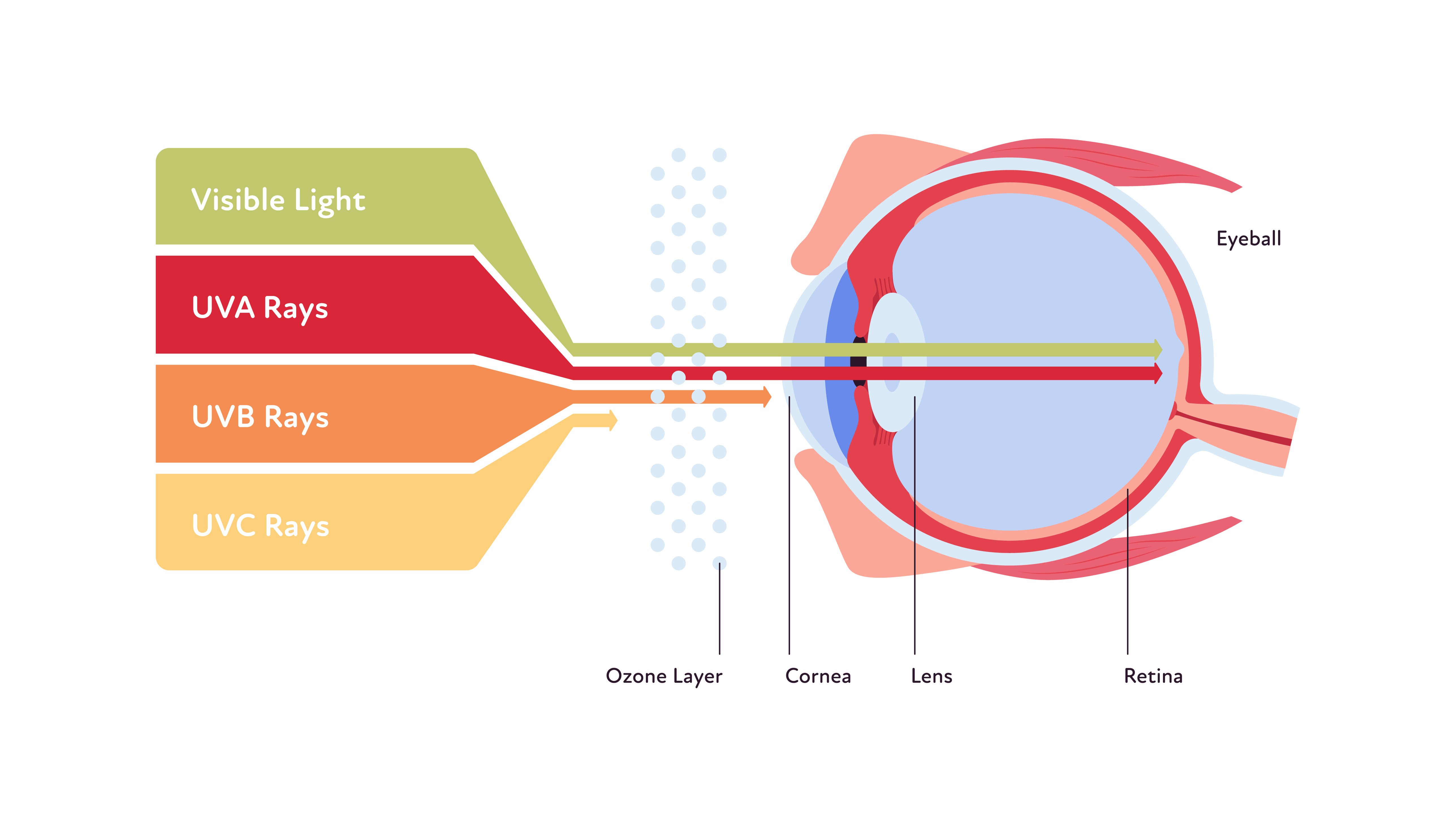 Shades of Protection: The Importance of Sunglasses